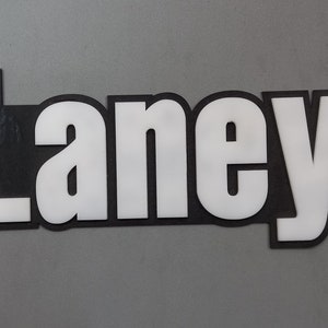 Laney White Logo 3d Letters 210mm = 8.2" - Etsy
