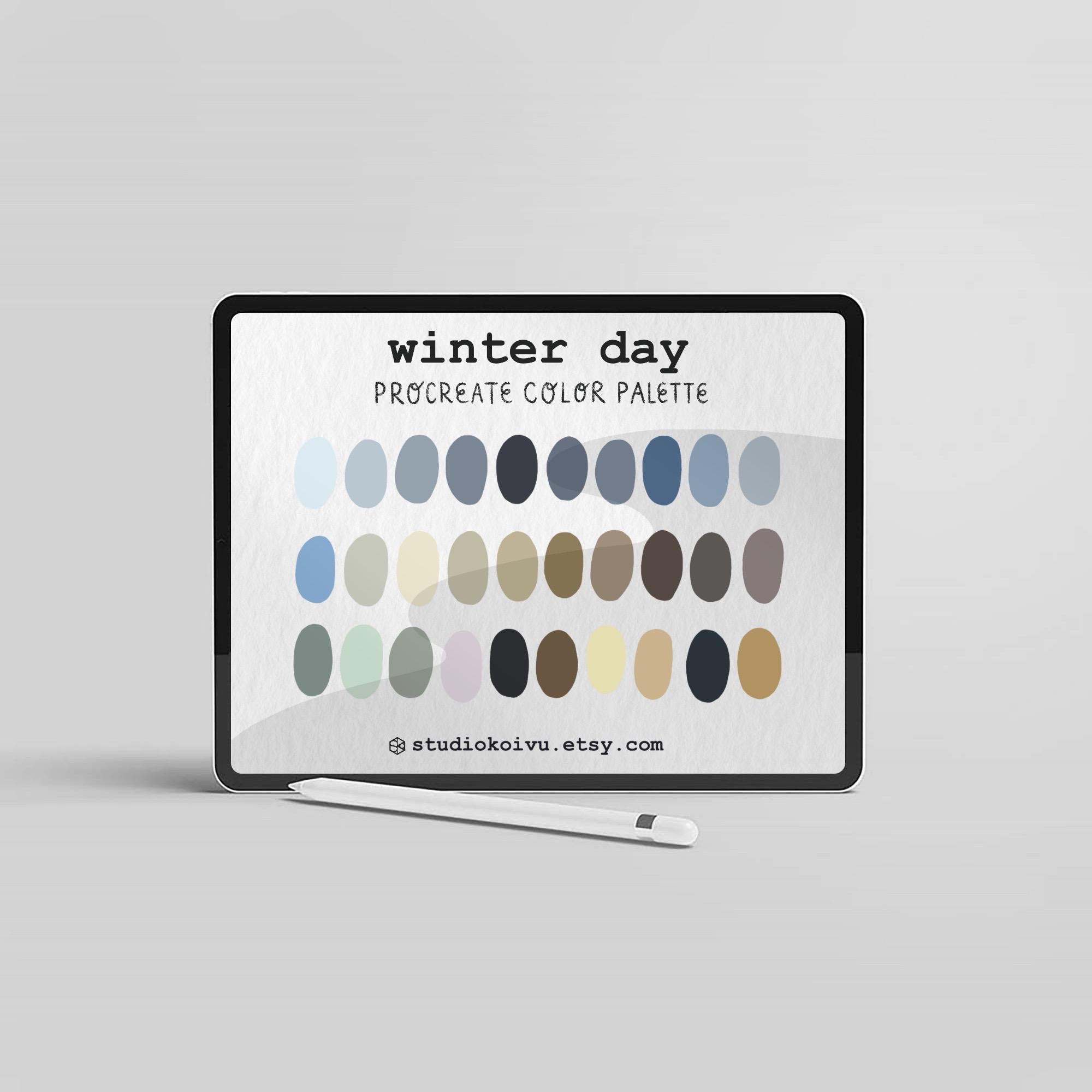 PROCREATE COLOR PALETTE // Winter Day // 30 Colors for iPad Procreate ...
