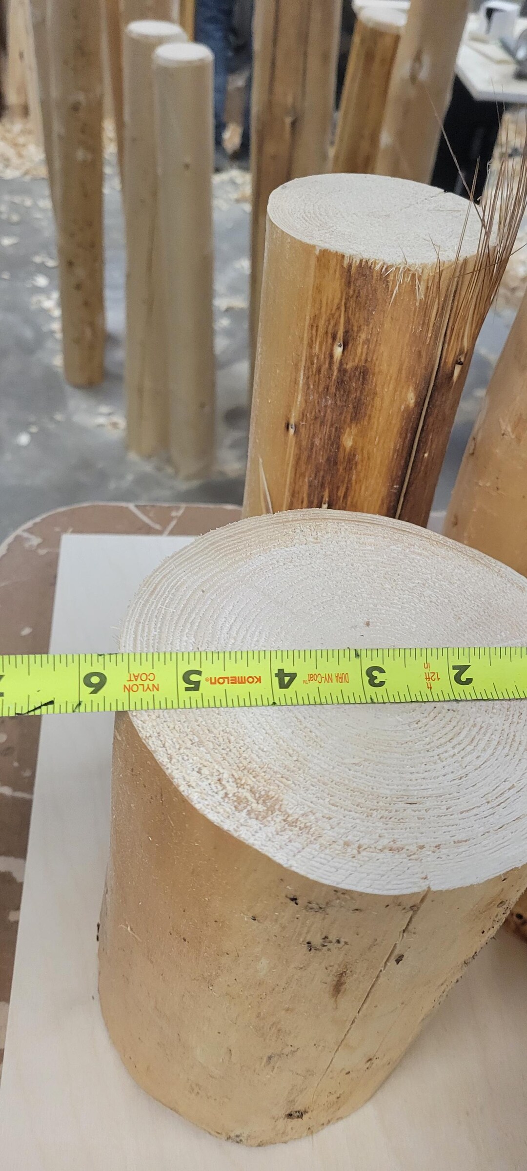 Various Sized Logs for Crafts, Furniture and Hobbies. Different ...