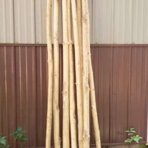 Pine Logs for Projects. Crafts and Log Furniture - Etsy