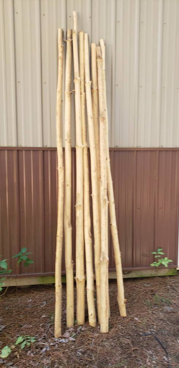 Pine Logs for Projects. Crafts and Log Furniture - Etsy