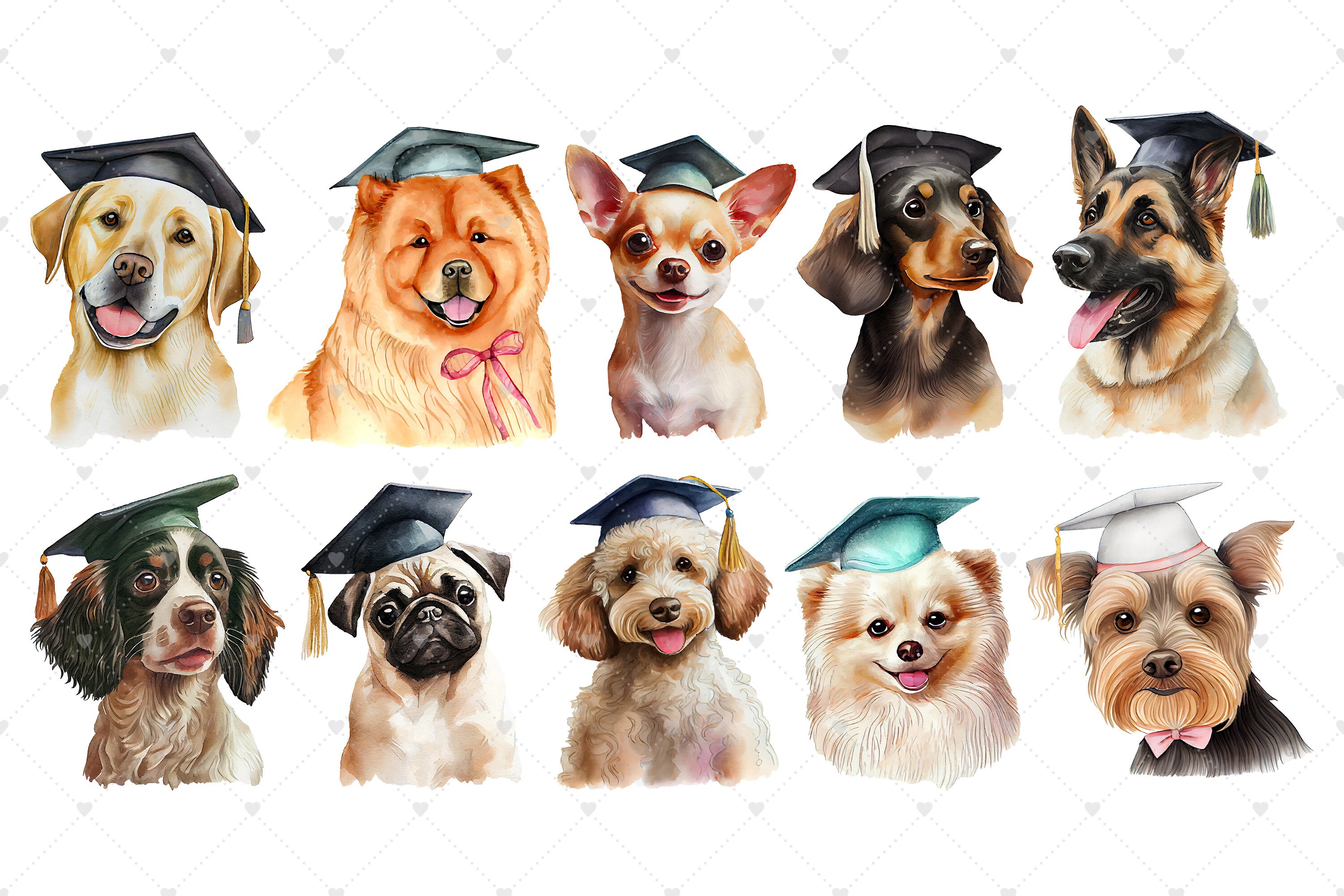 Graduation Clipart. Cute Dogs. Watercolor Clip Art Bundle. Digital PNG ...