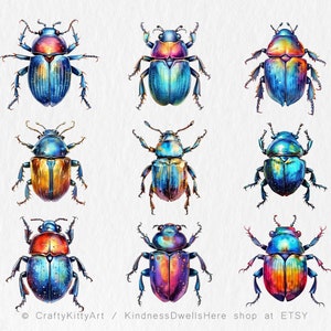 Watercolor Beetle Clipart Bundle. Watercolor Beetles Bug Png. Digital ...