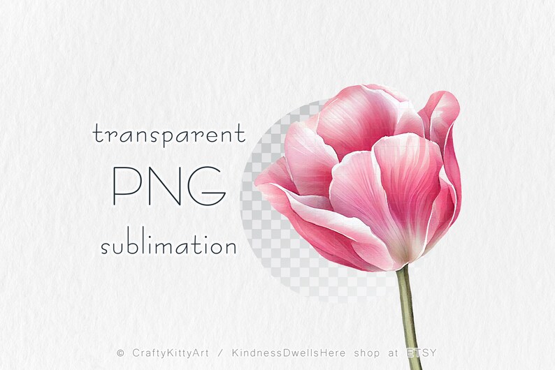 Watercolor Tulip Clipart Bundle. Watercolor Tulip Png. Digital - Etsy