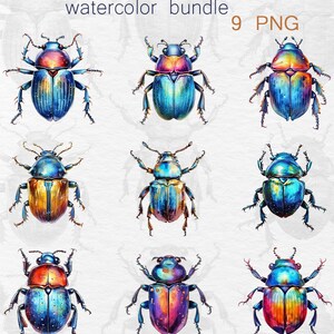 Watercolor Beetle Clipart Bundle. Watercolor Beetles Bug Png. Digital ...