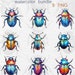 Watercolor Beetle Clipart Bundle. Watercolor Beetles Bug Png. Digital ...
