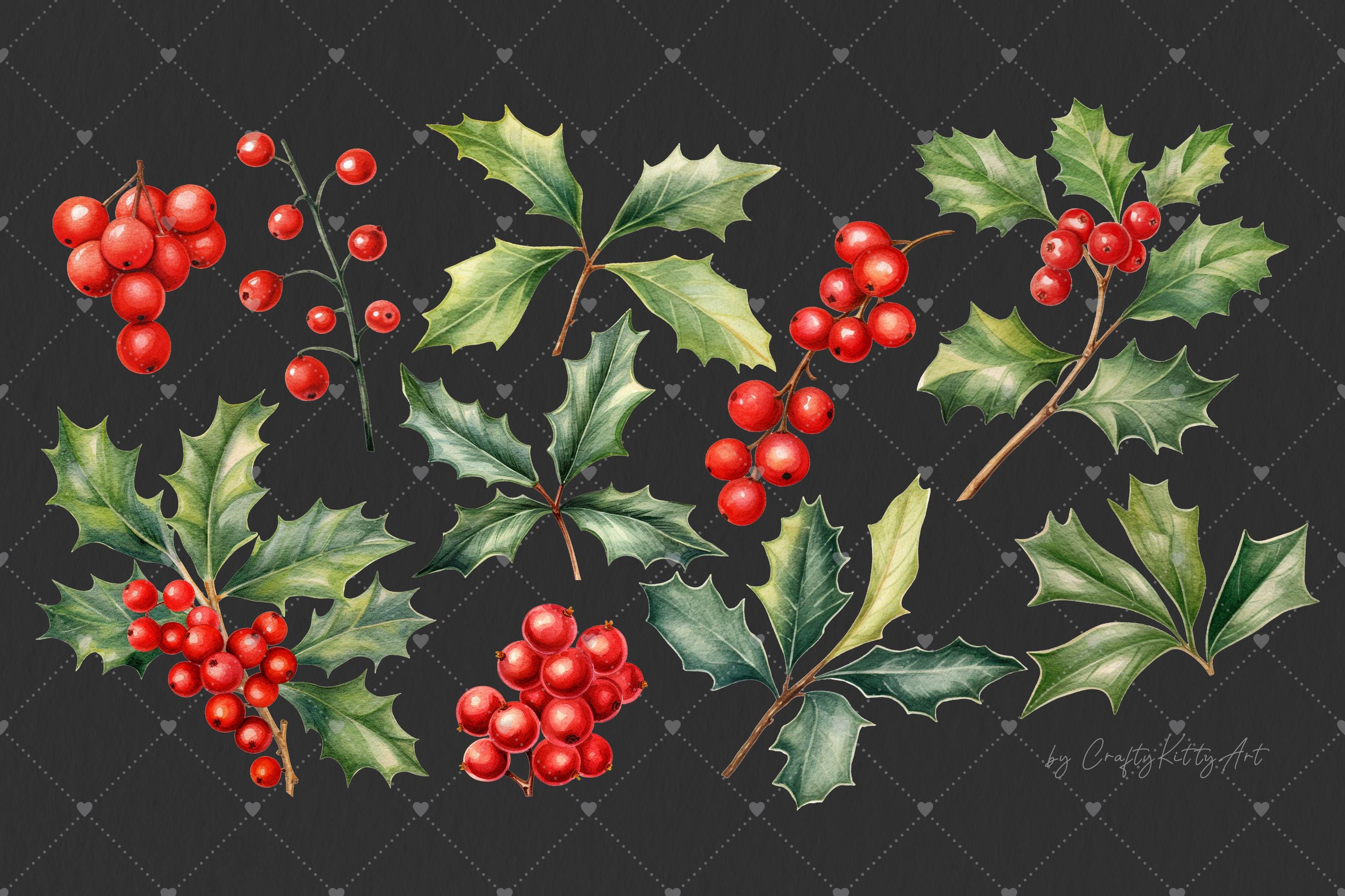 Holly Watercolor Clip Art. Christmas Holly Branch. Holly Leaves & Red ...