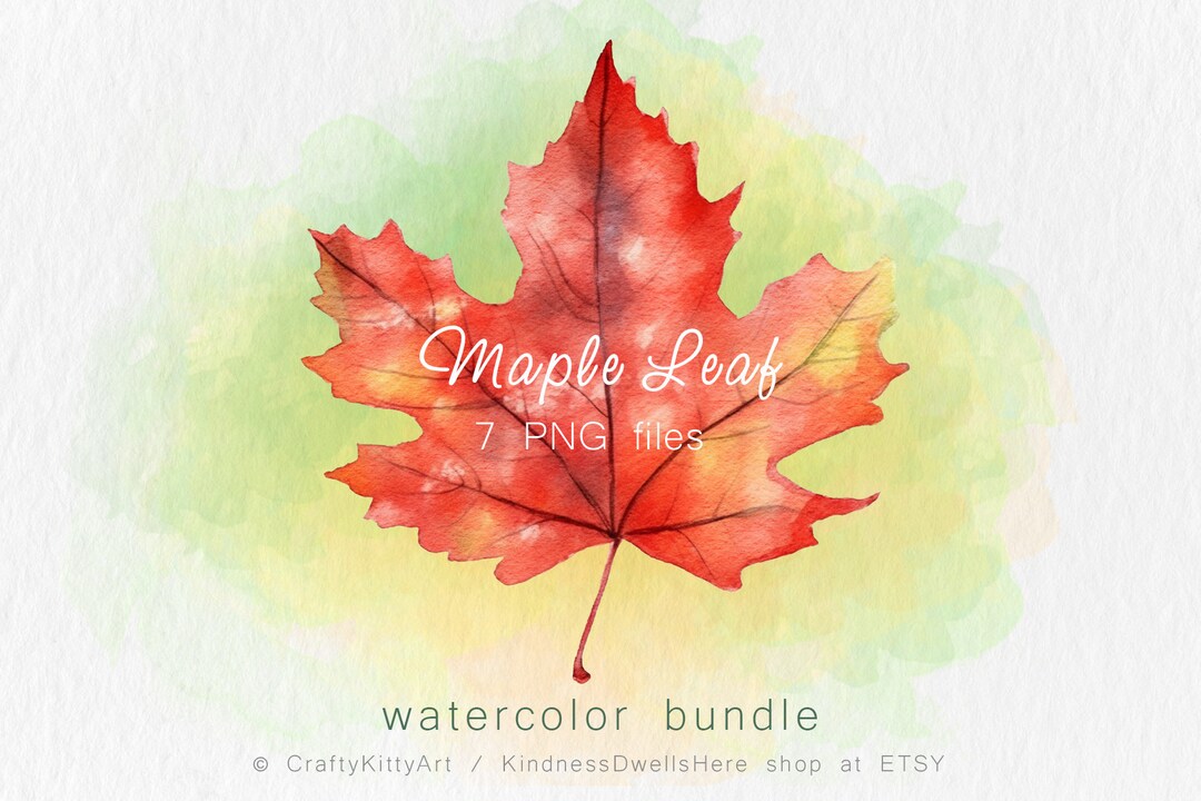 Maple Leaves PNG Clipart. Fall Leaf PNG Clipart. Watercolor Clip Art ...