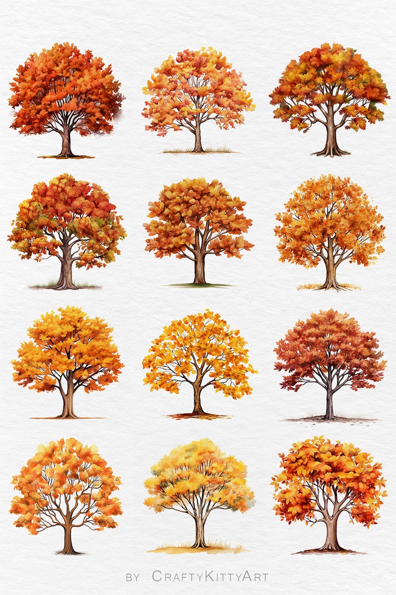 Fall Tree Clipart Bundle. Watercolor Tree Clip Art. Autumn Trees ...