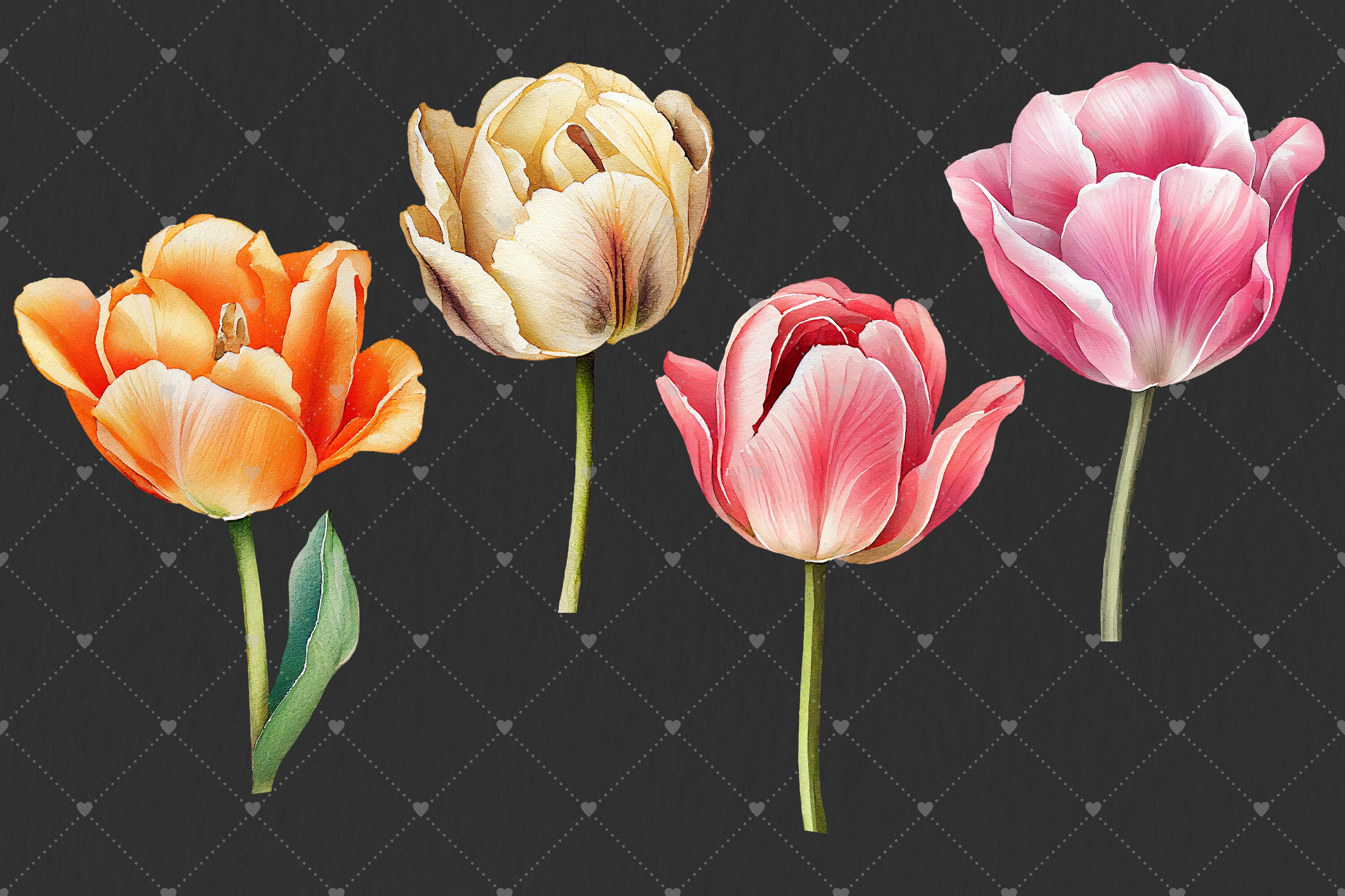Tulip Clipart. Watercolor Clip Art Bundle. Tulip 7 PNG Files. Digital ...