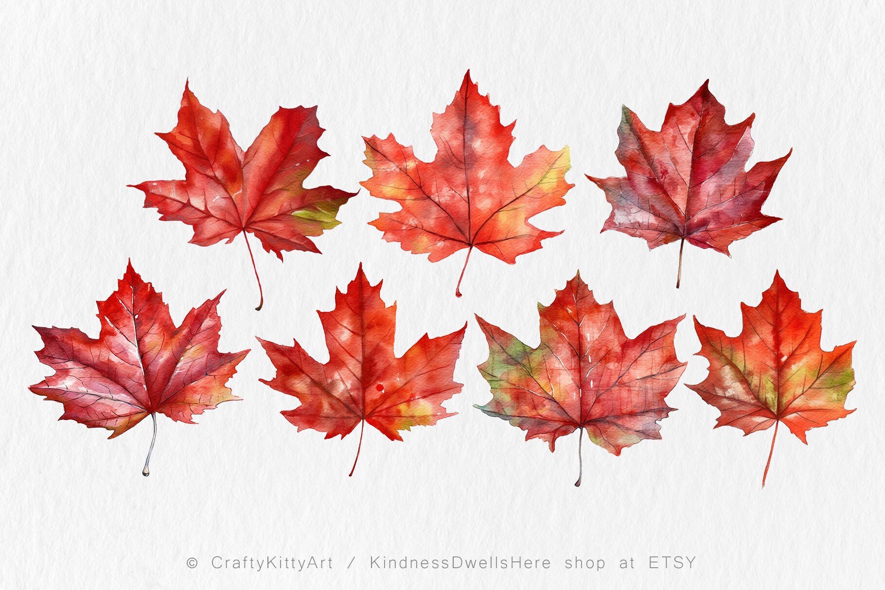 Maple Leaves PNG Clipart. Fall Leaf PNG Clipart. Watercolor Clip Art ...