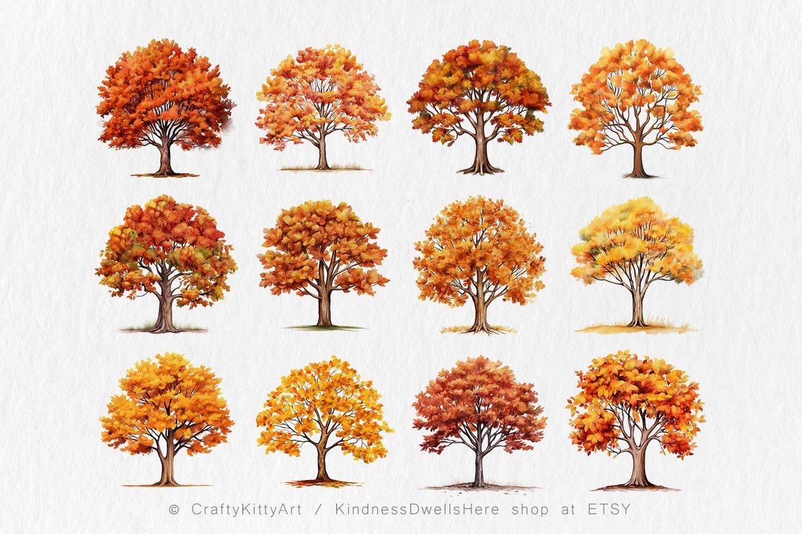 Fall Tree Clipart Bundle. Watercolor Tree Clip Art. Autumn Trees ...