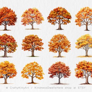 Fall Tree Clipart Bundle. Watercolor Tree Clip Art. Autumn Trees ...