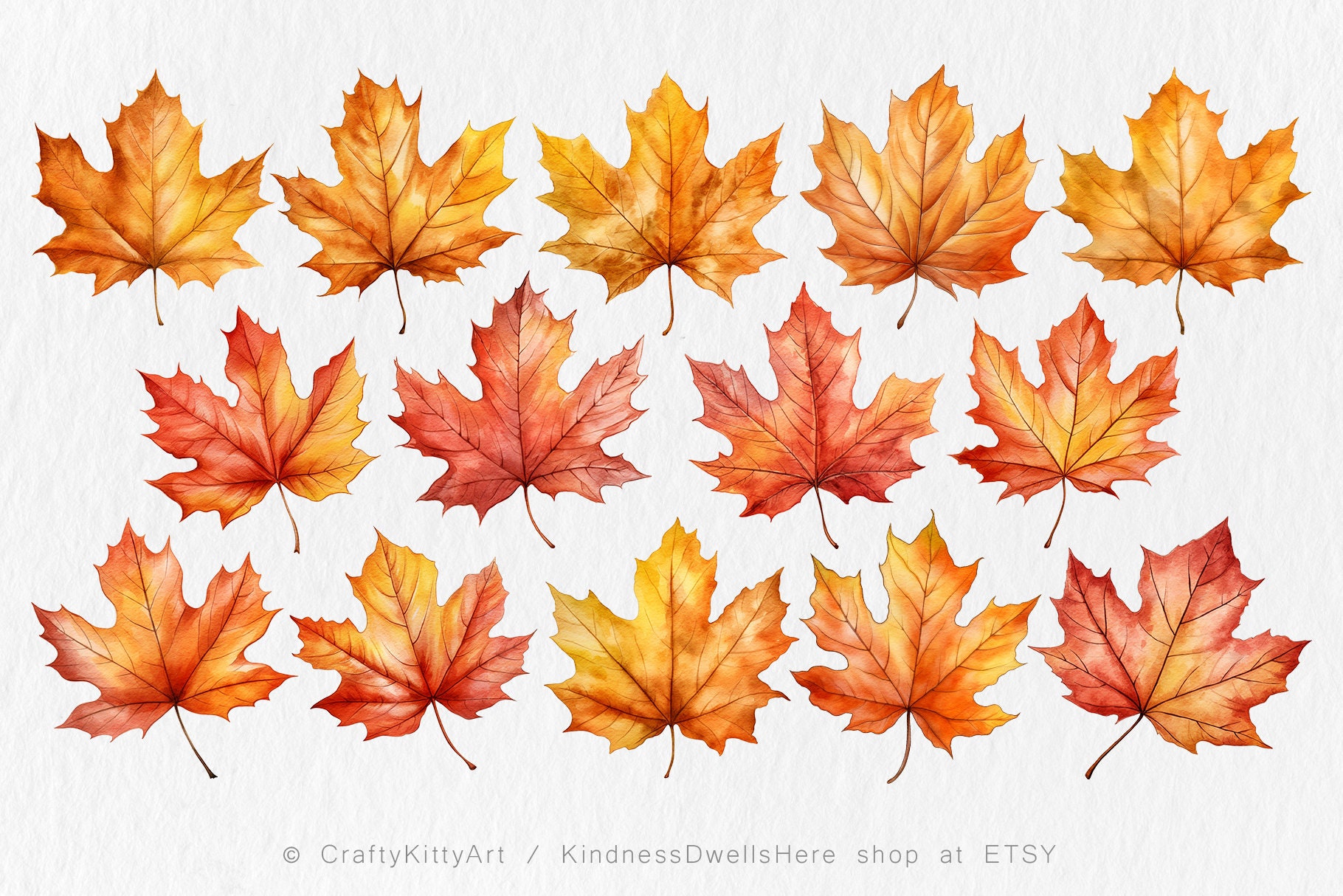 Maple Leaves PNG Clipart. Fall Leaf PNG Clipart. Watercolor Clip Art ...