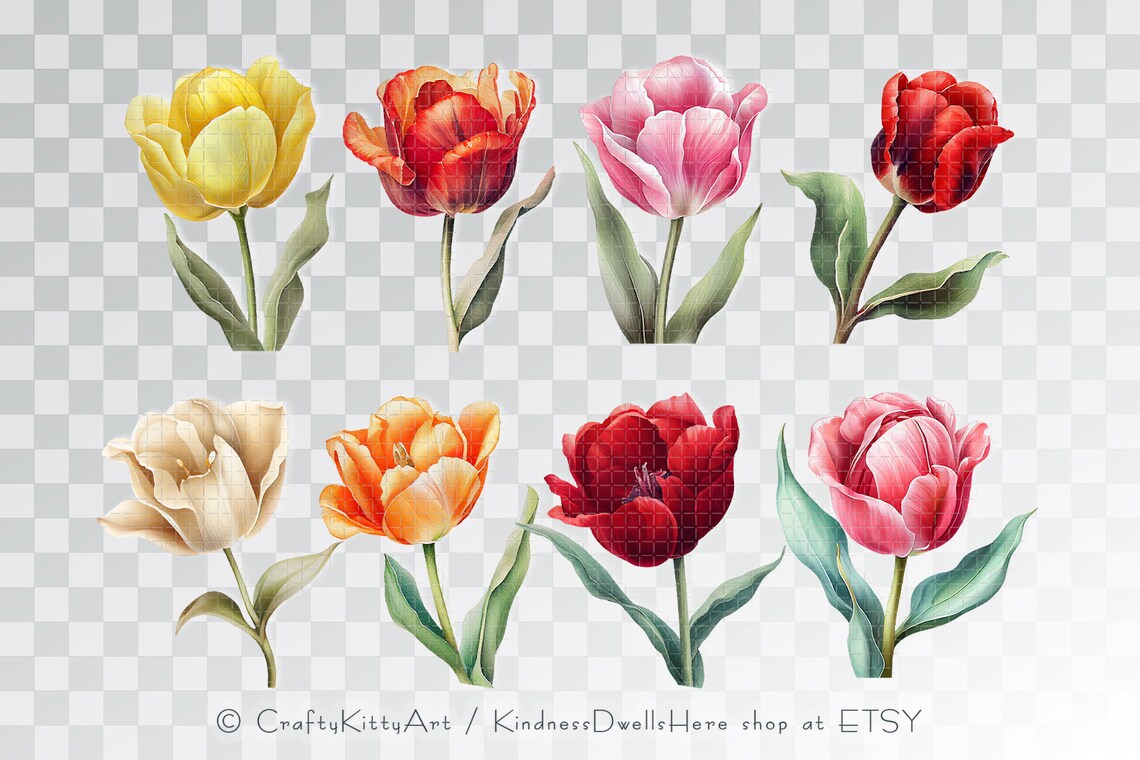 Watercolor Tulip Clipart Bundle. Watercolor Tulip Png. Digital - Etsy