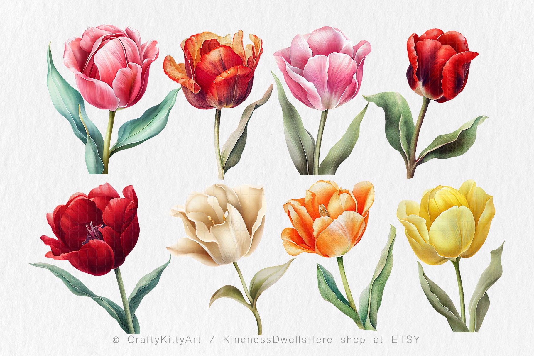 Watercolor Tulip Clipart Bundle. Watercolor Tulip Png. Digital PNG ...