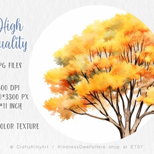 Fall Tree Clipart Bundle. Watercolor Tree Clip Art. Autumn Trees ...