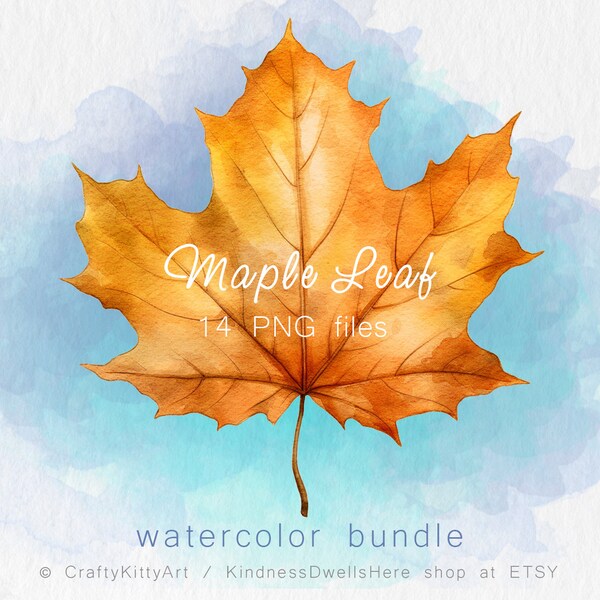 Maple Leaf - Etsy