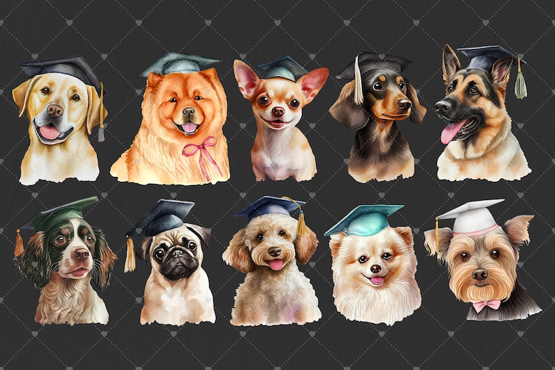 Graduation Clipart. Cute Dogs. Watercolor Clip Art Bundle. Digital PNG ...