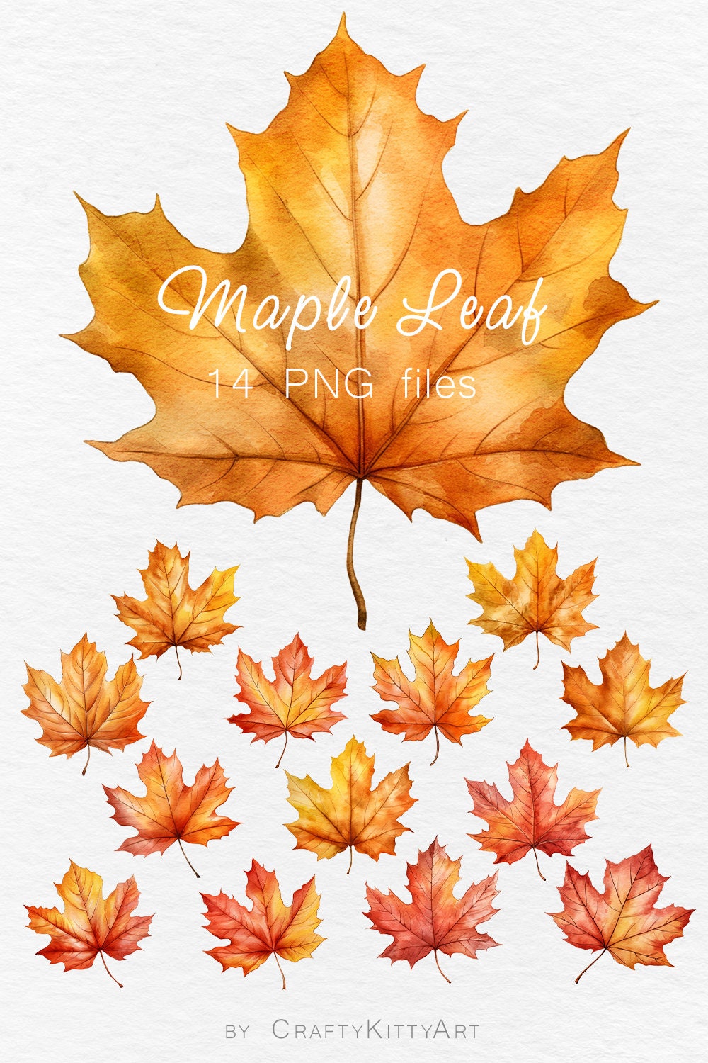 Maple Leaves PNG Clipart. Fall Leaf PNG Clipart. Watercolor Clip Art ...