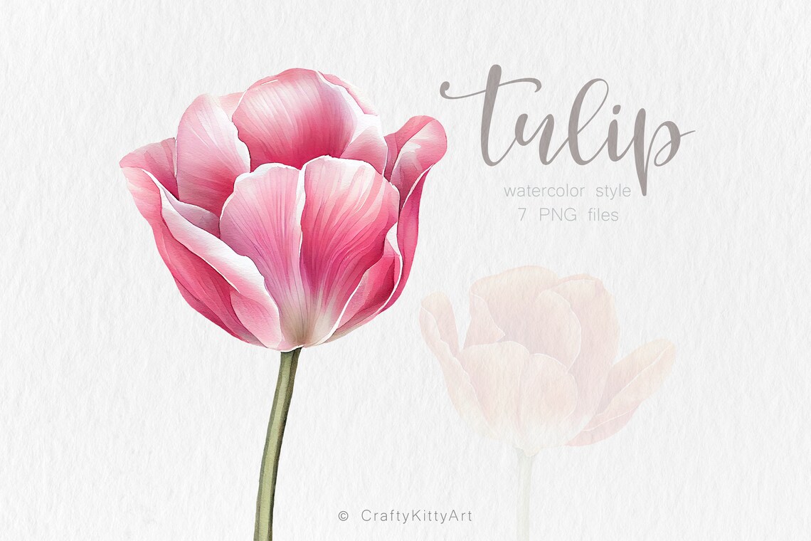 Tulip Clipart. Watercolor Clip Art Bundle. Tulip 7 PNG Files. Digital ...