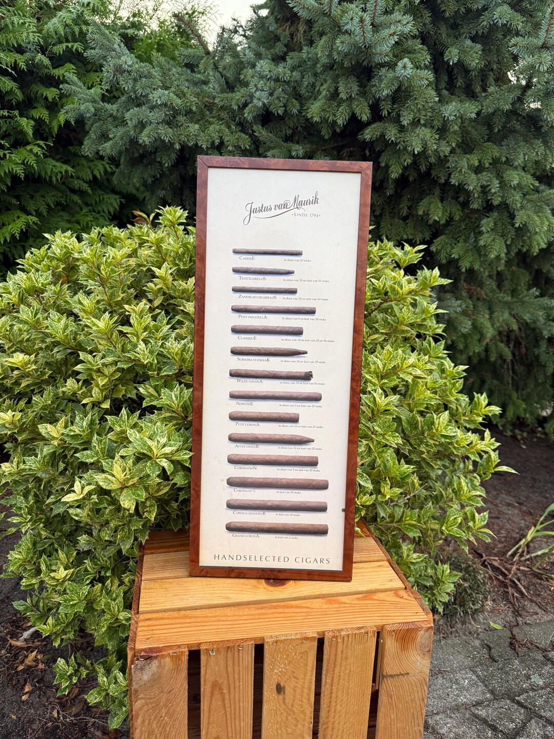 Rare Vintage Justus Van Maurik Cigar Display, Dutch Tobacco Shop ...