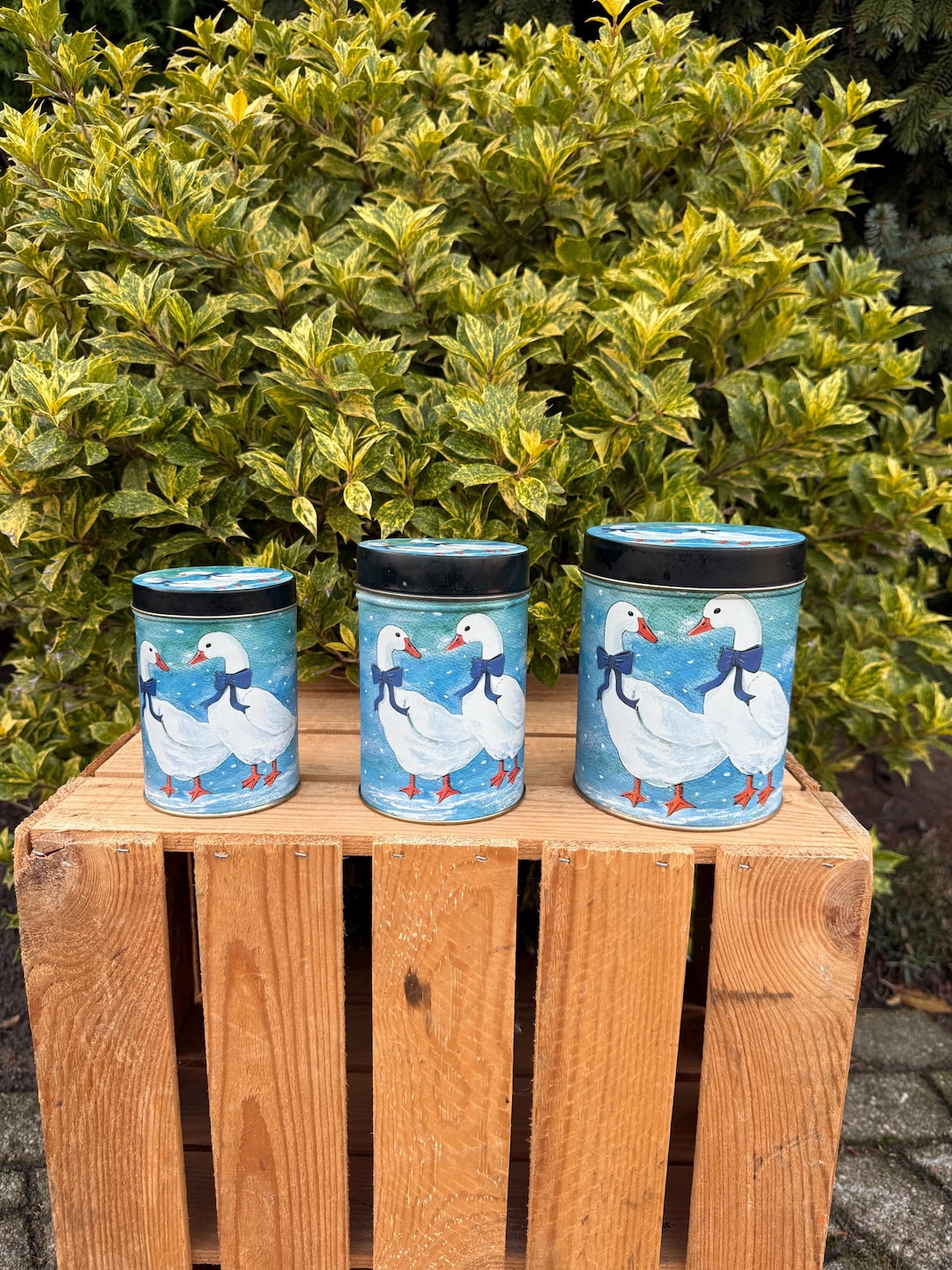 Vintage Goose Metal Canister Set, Blue Farmhouse Storage Tins, Kitchen ...