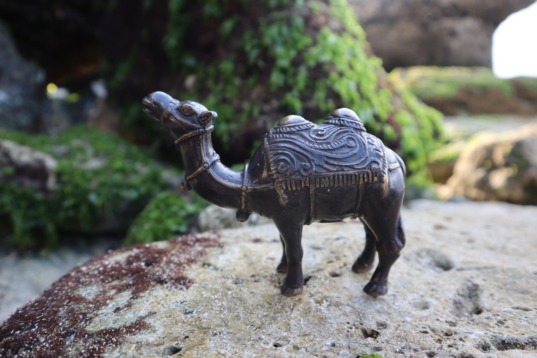 Vintage Brass Camel Statue - Antique Camel Bronze for Table Decor - Etsy