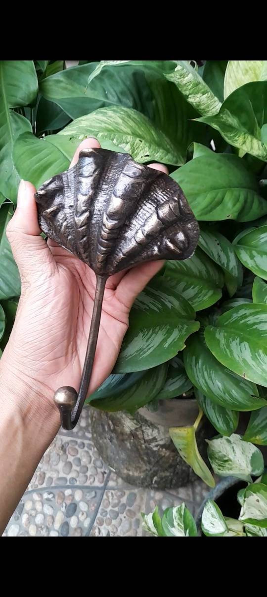 Vintage Solid Brass Shell Hooks - Antique Hook Home Decor - Etsy