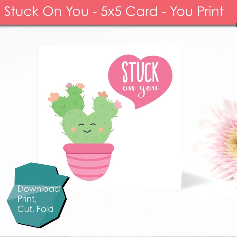 Stuck on You Cactus - Etsy