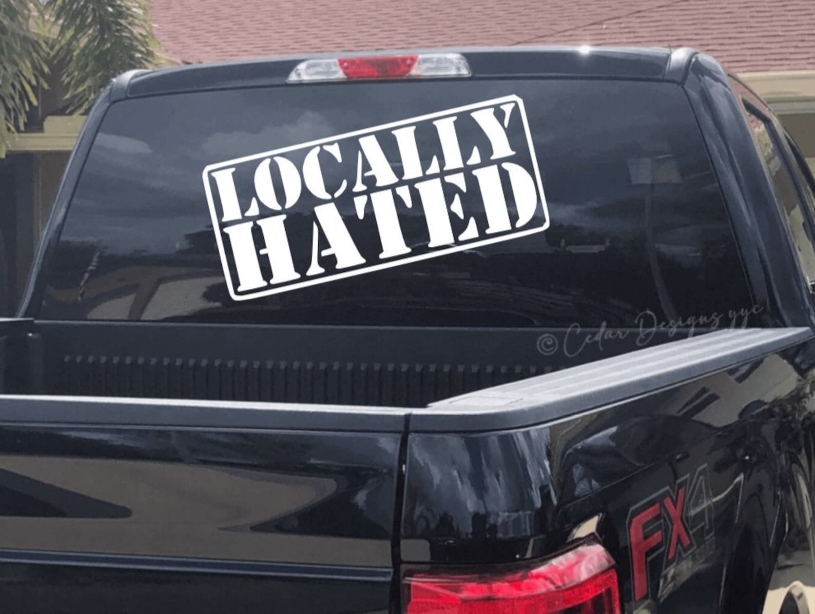 Locally hated bumper sticker vehicle decal car decal truck | Etsy