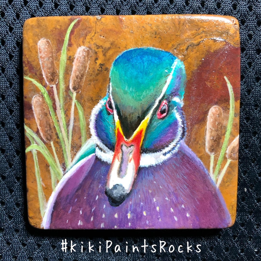 Wood Duck: Acrylic on Red Onyx Rock, Original Art, Hand Painted, Gift ...