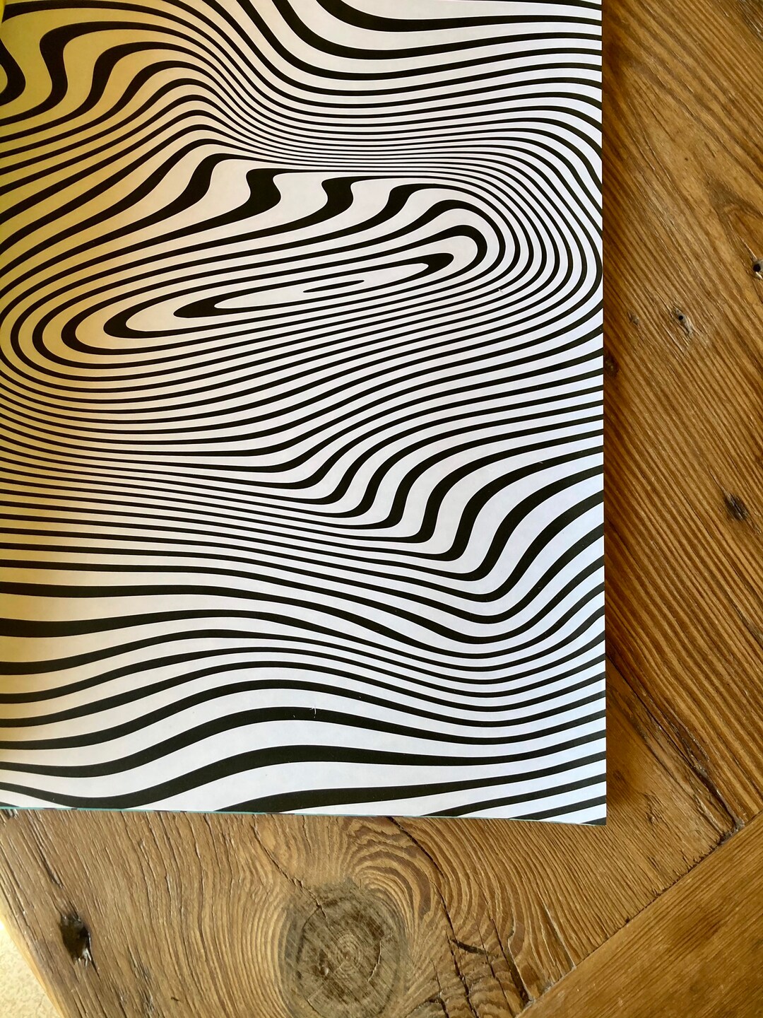Zebra Print Themed Wrapping Paper - Set of 10 Sheets - Etsy