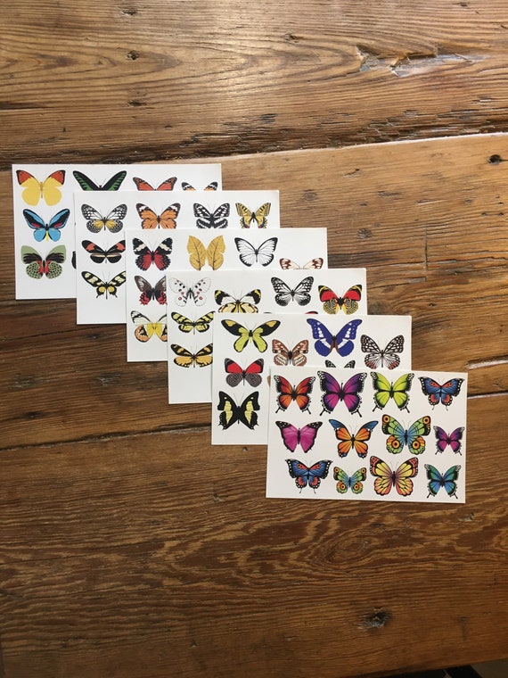 Butterfly Sticker Set | Etsy