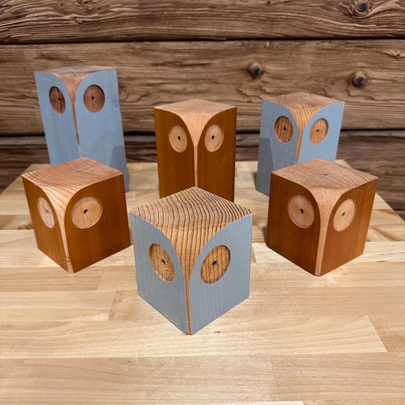 Owl Home Decor - Etsy