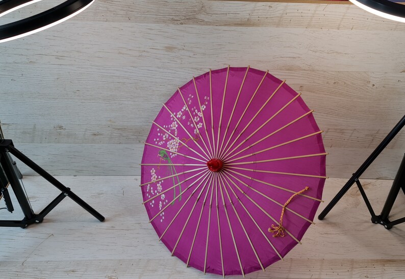 1970's,vintage Traditional Ethnic Japanese Geisha Umbrella/ Parasol ...