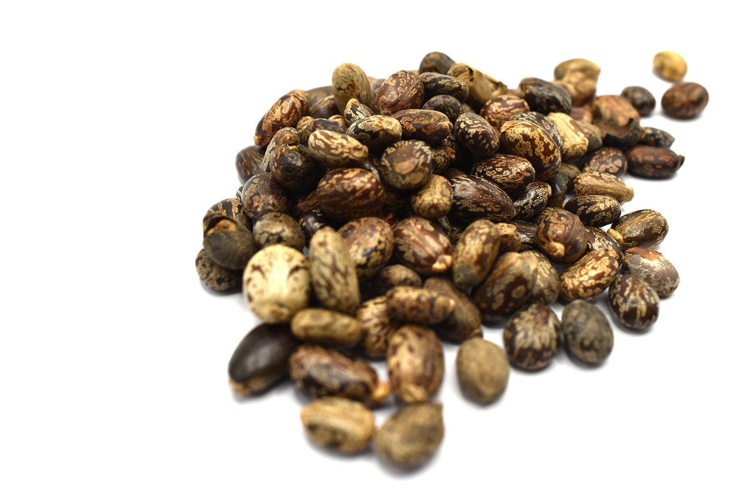 Bi Ma Zi - 蓖麻子 1lb (16 Oz) - Castor Bean - FUHENG福恒 - Since 1905 - 454g ...