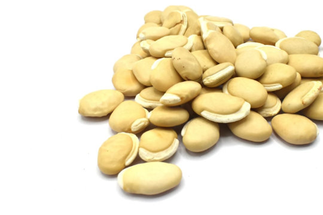 Bai Bian Dou - Mini Bag (10g)- 白扁豆 - Hyacinth Bean - Etsy