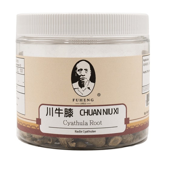 Chuan Niu Xi 川牛膝 Cyathula Root FUHENG福恒 Since 1905 - Etsy UK