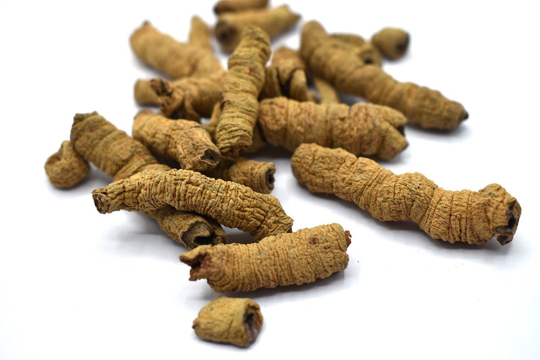 Ba Ji Tian - 巴戟天 1lb (16 Oz) - Morinda Root - FUHENG福恒 - Since 1905 ...