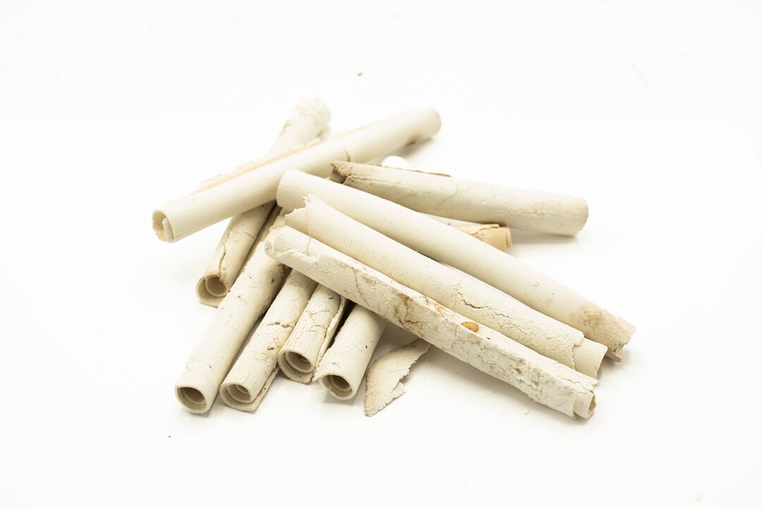 FU LING – 茯苓 Mini Bag (10g)– Hoelen - Etsy