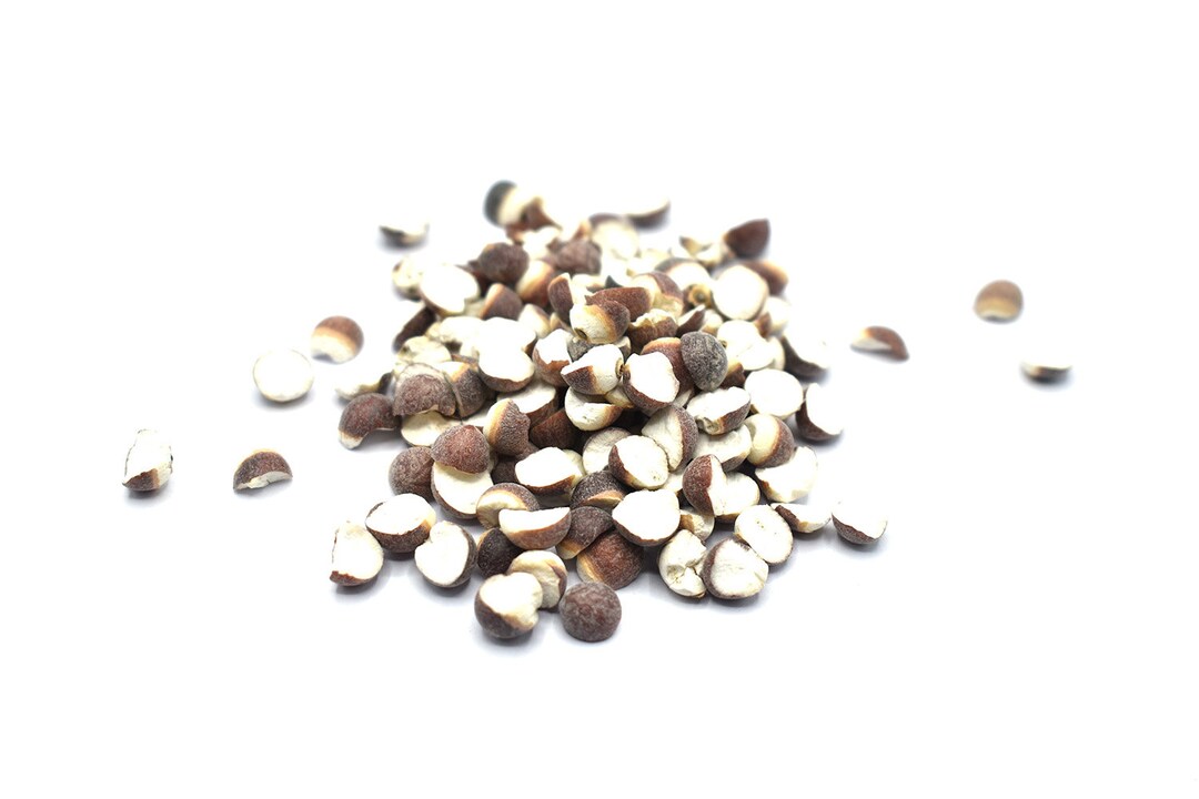 Qian-shi-芡實-euryale-seeds-fuheng福恒 - Since 1905 - Etsy