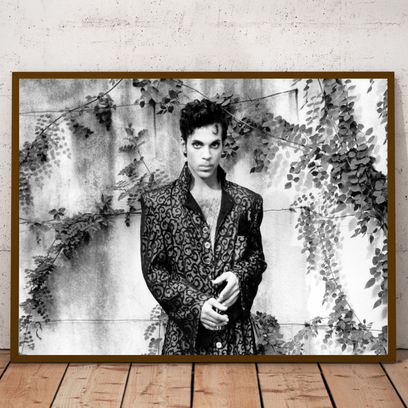 Prince Canvas Art - Etsy