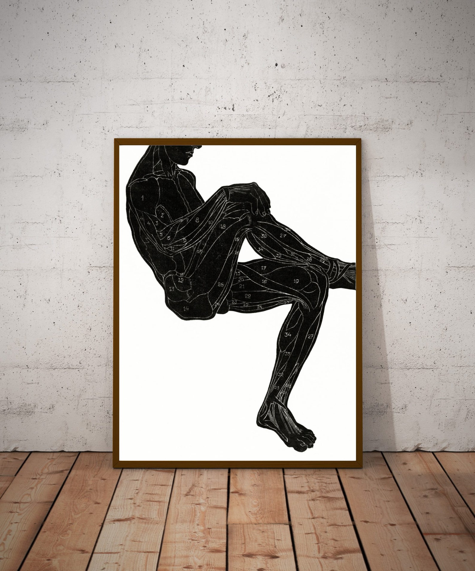 Vintage Art Poster Print Anatomical Study of a Man's Leg - Etsy