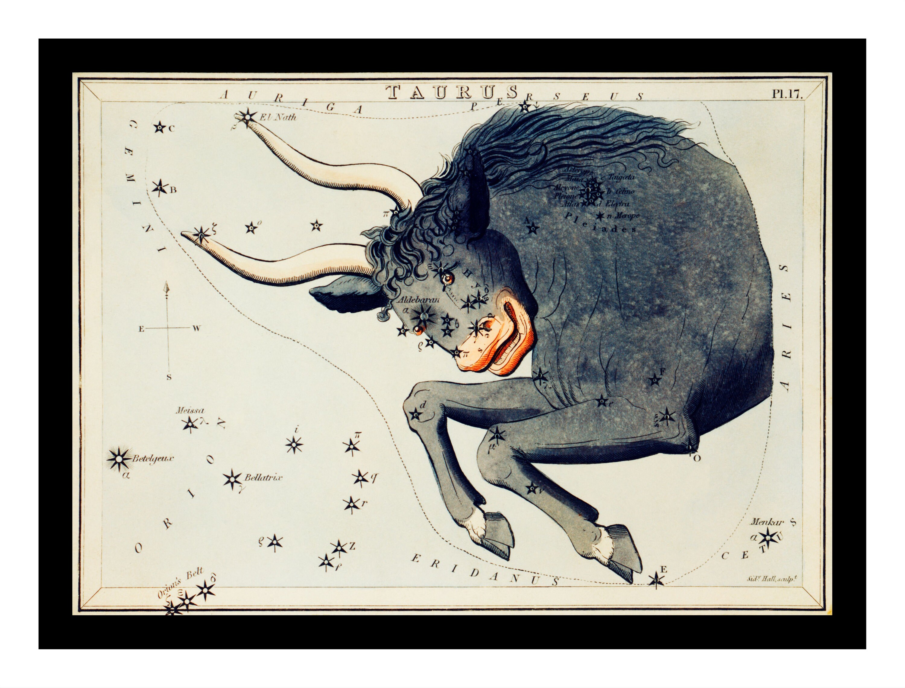 Taurus Astronomical Chart Illustration Antique Poster Print - Etsy