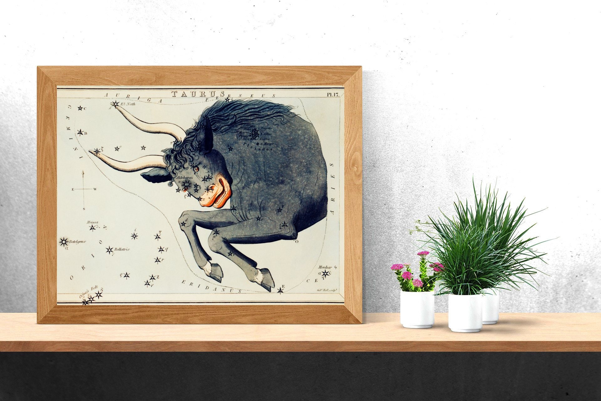 Taurus Astronomical Chart Illustration Antique Poster Print - Etsy