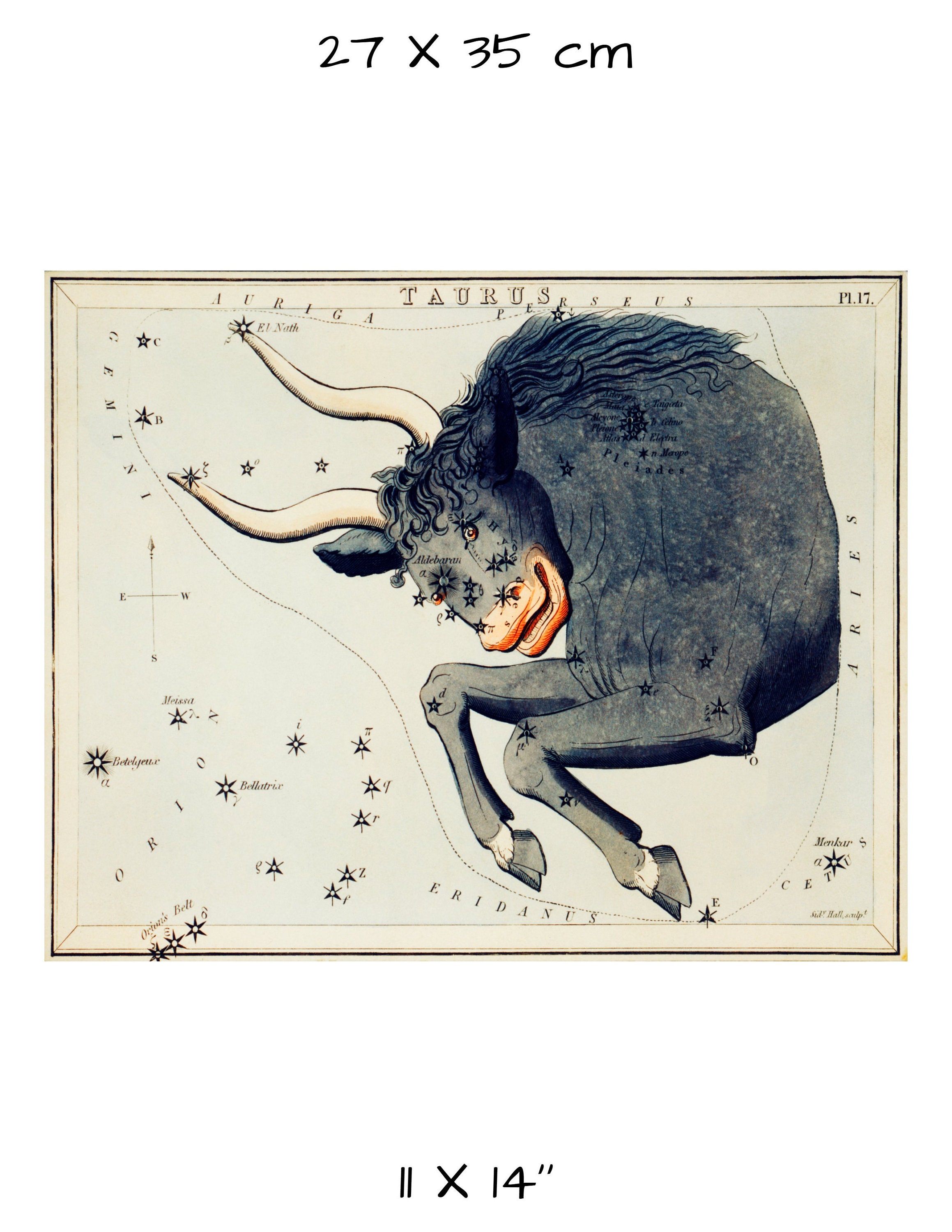 Taurus Astronomical Chart Illustration Antique Poster Print - Etsy
