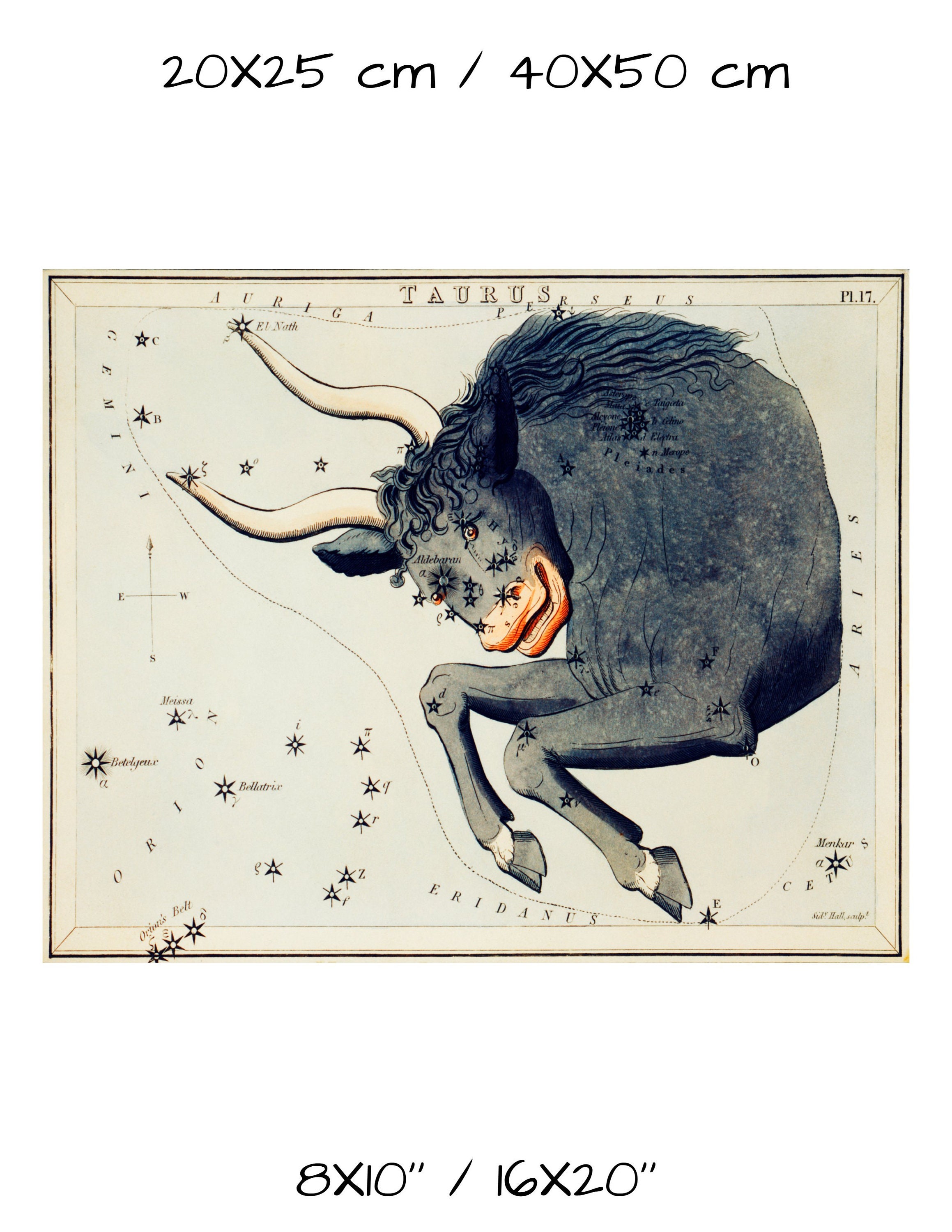 Taurus Astronomical Chart Illustration Antique Poster Print - Etsy