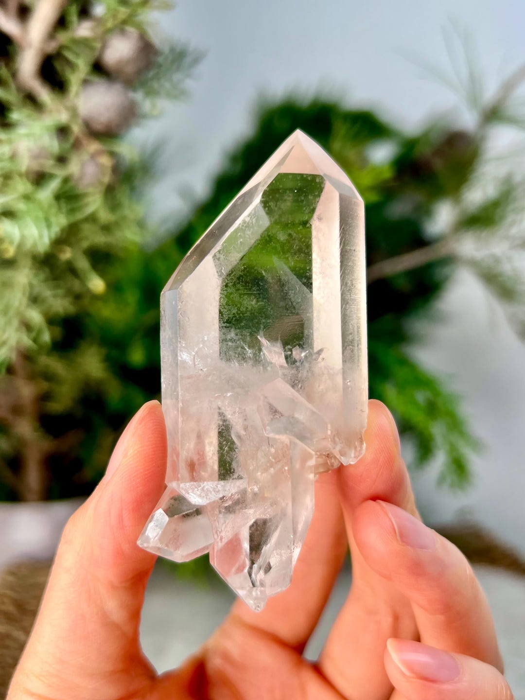 Grade AA DT Manifestation (penetration) Quartz Point With Phantom ...