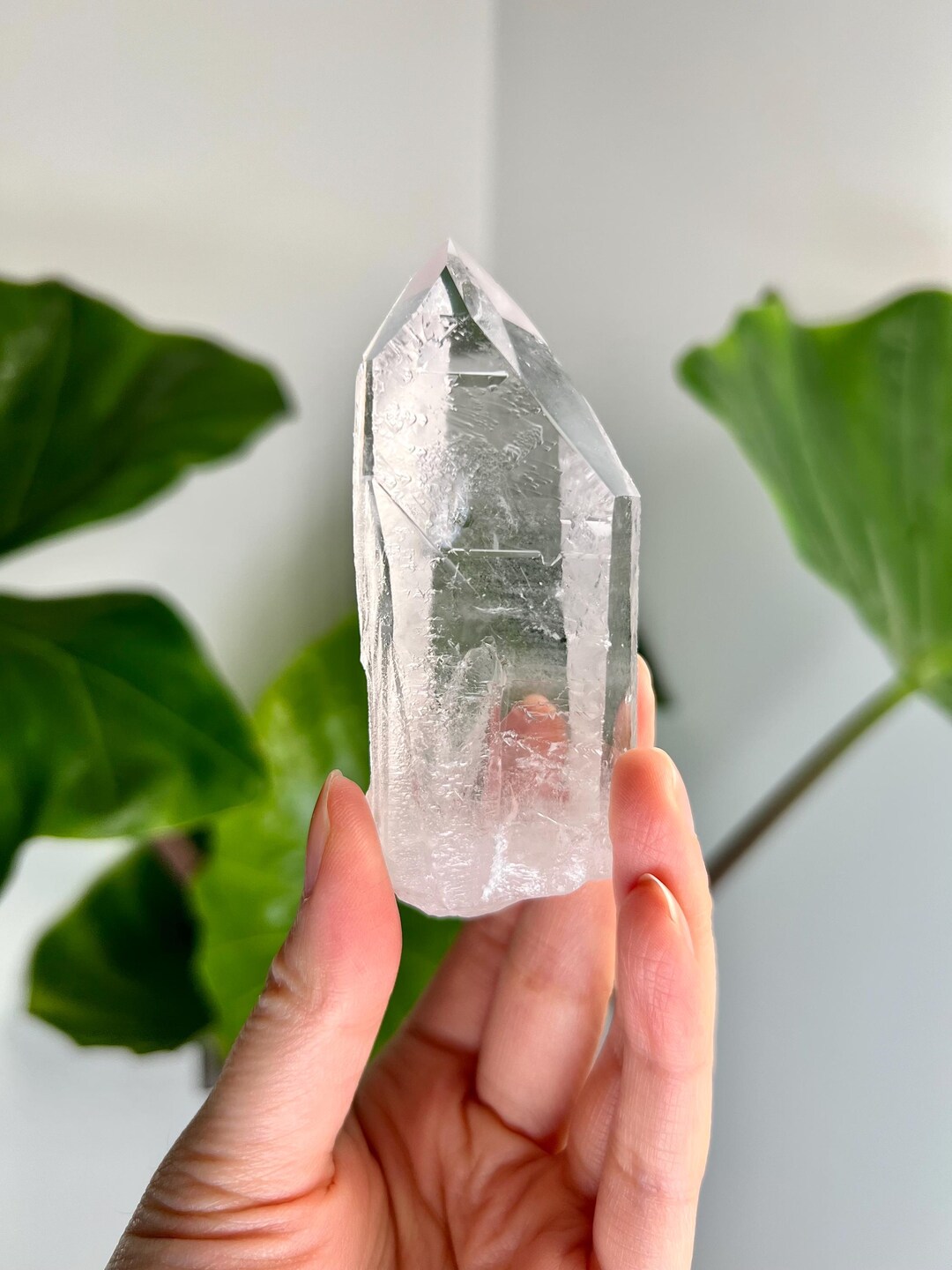 Grade A+ Starbrary Quartz – Unique Glyphs, Record Keepers, and Galactic Wisdom, From Tomás ...
